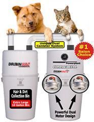 Bad Allergies Caused By Dog Hair? Check Out Our Specialty Central ...